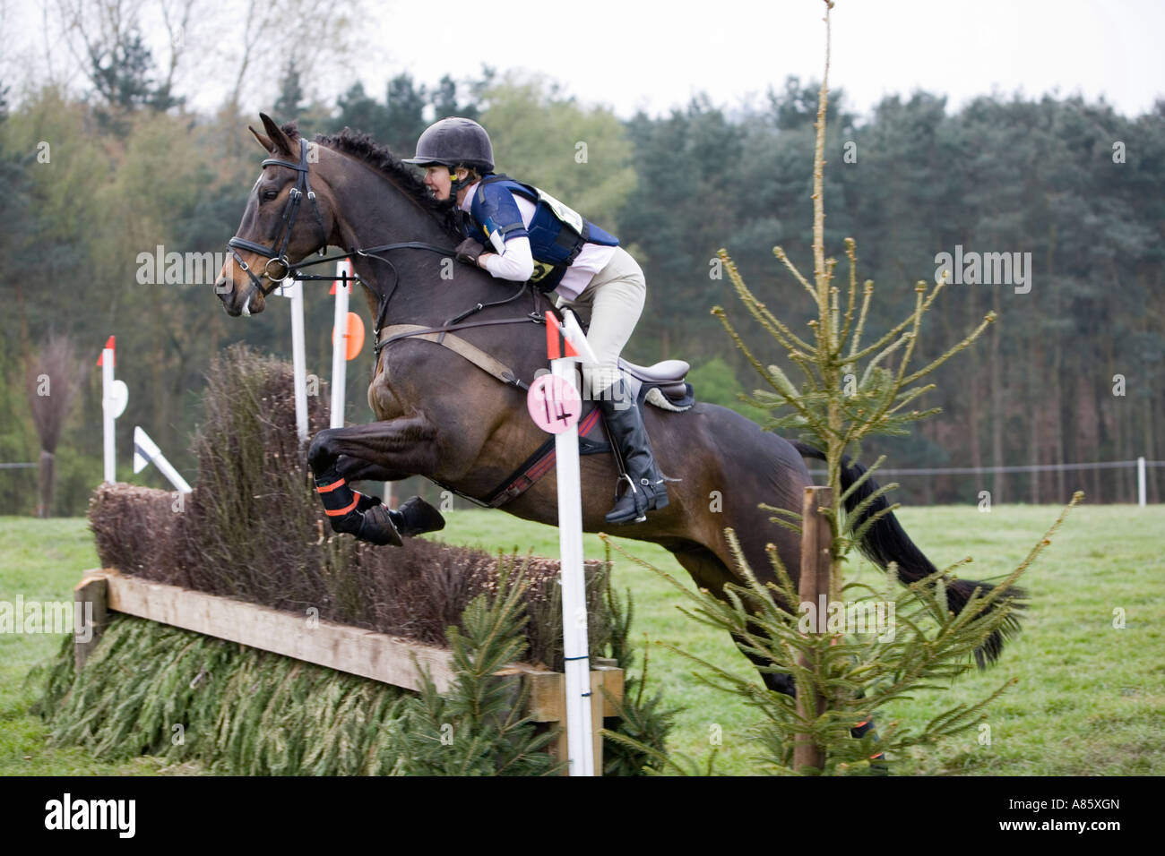 Horse and rider taking part in British Eventing Equestrian Event Stock ...