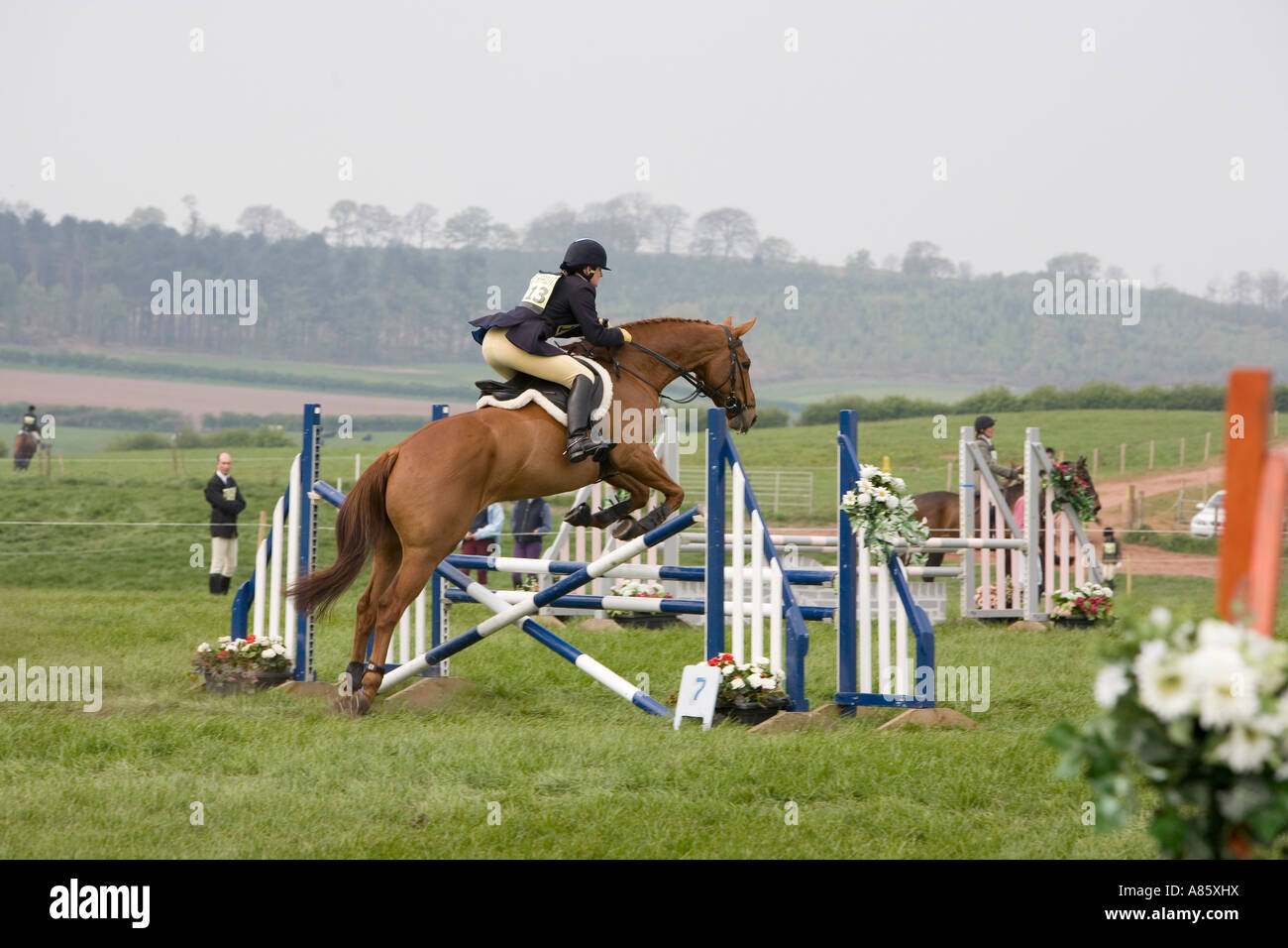 Horse and rider taking part in British Eventing Equestrian Event Stock ...