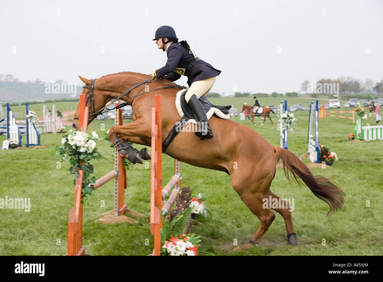 Horse and rider taking part in British Eventing Equestrian Event Stock ...