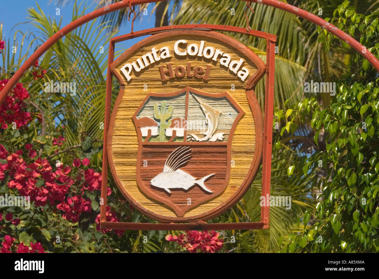 Mexico cabo san lucas sign hi-res stock photography and images - Alamy