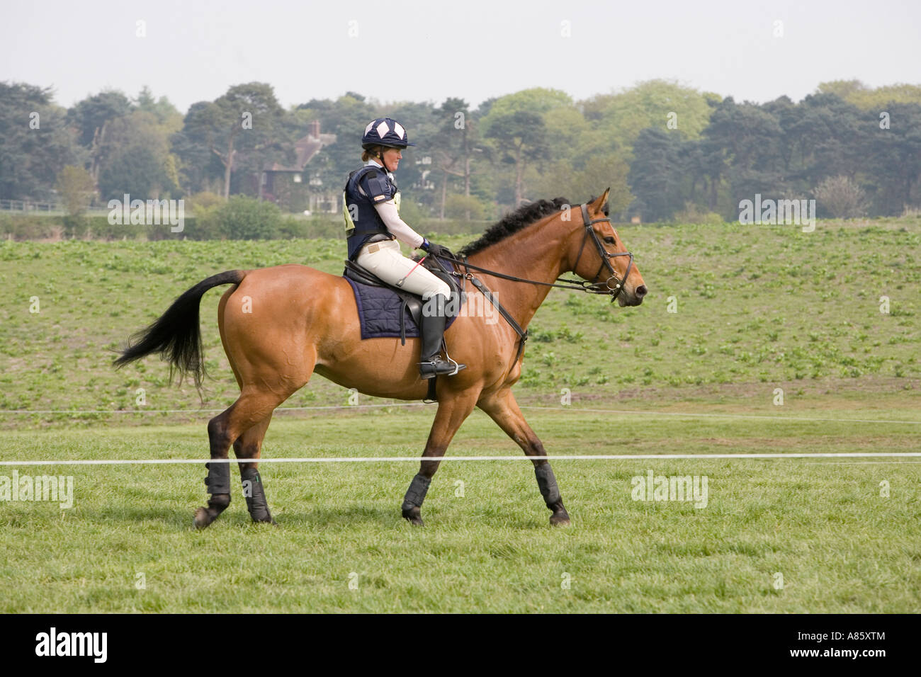 Horse and rider taking part in British Eventing Equestrian Event Stock ...