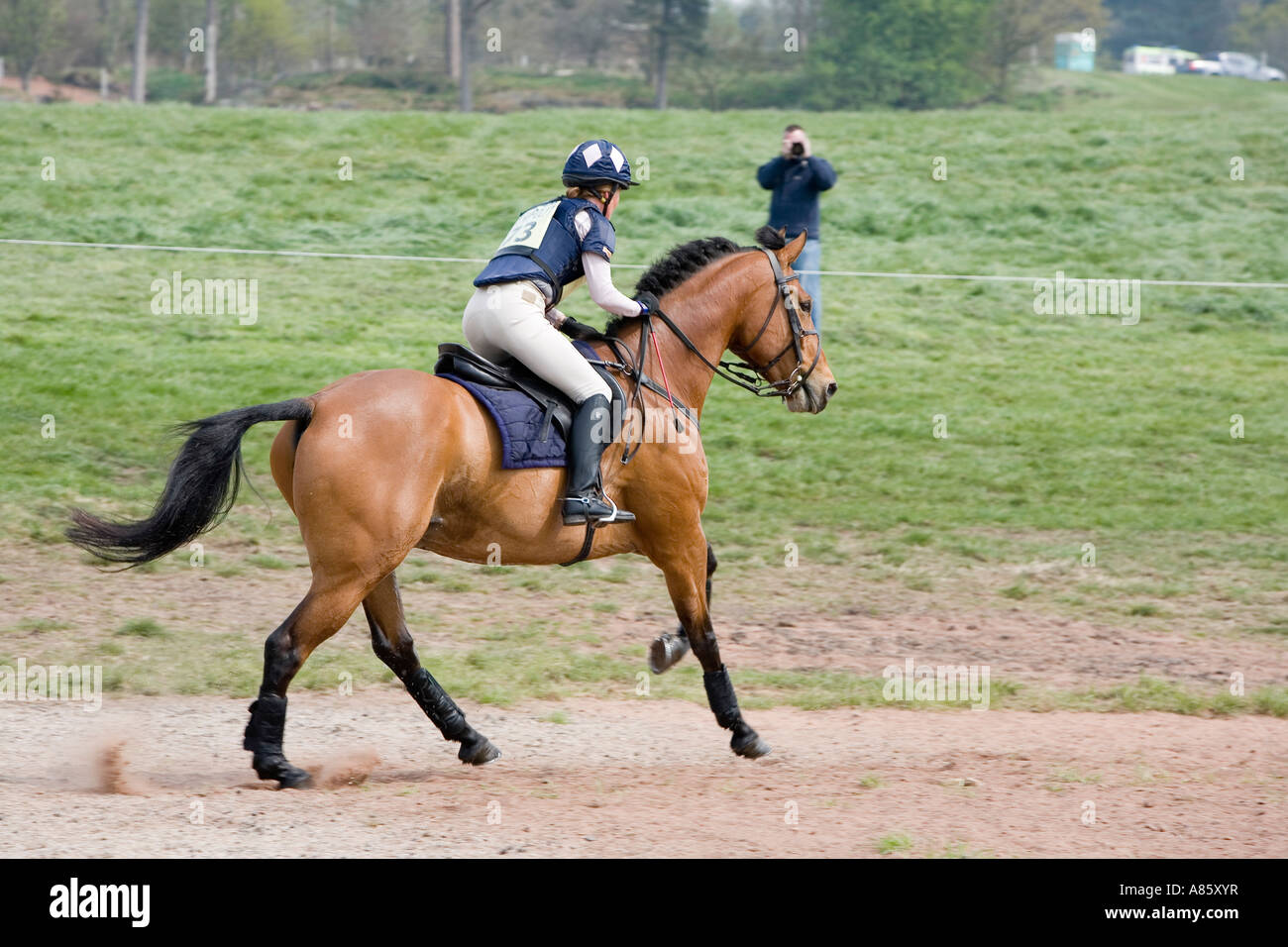 Horse and rider taking part in British Eventing Equestrian Event Stock ...