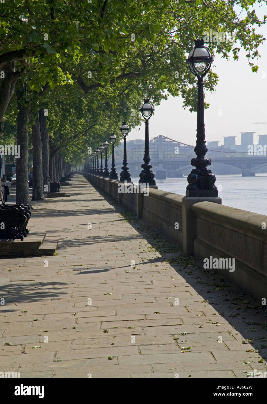 Tree lined embankment hi-res stock photography and images - Alamy