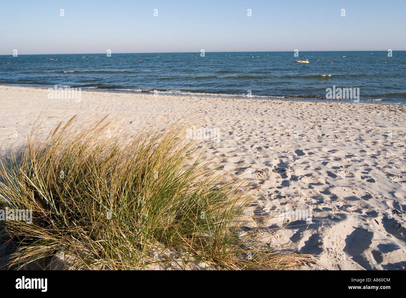 Costline of the Baltic Sea, Germany Stock Photo - Alamy