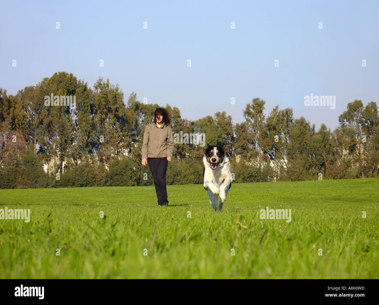 Dog running in a park in Tel Aviv Israel Stock Photo - Alamy