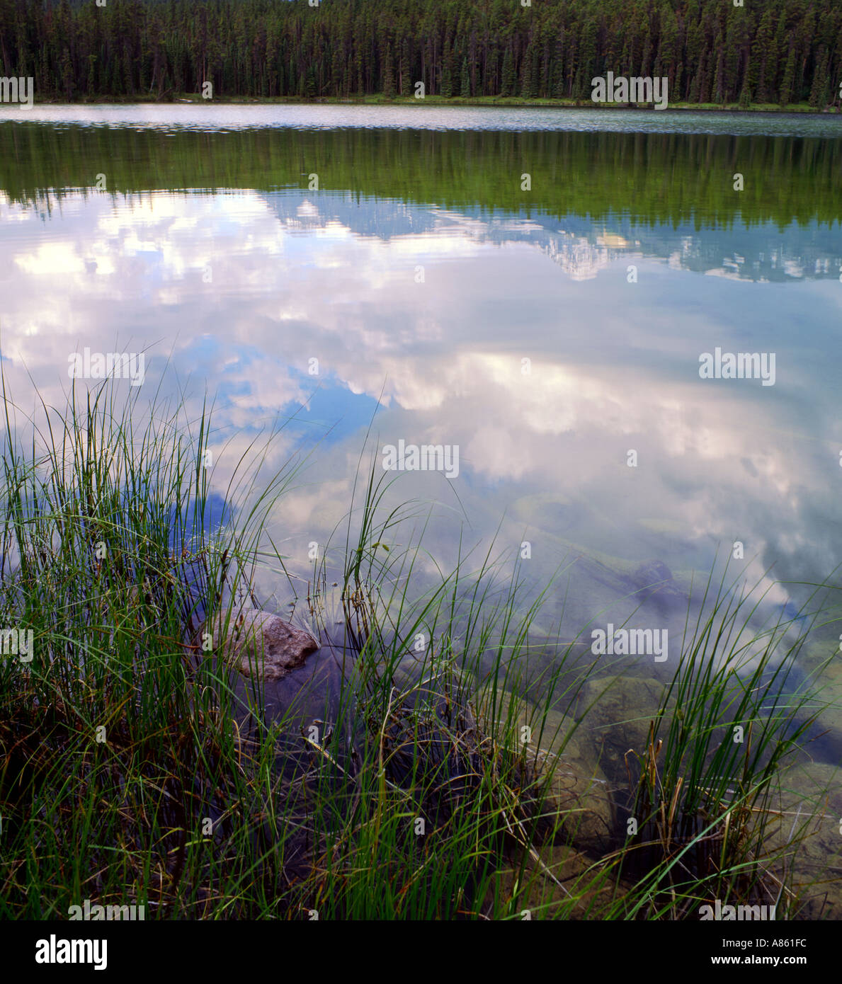 Leach lake hi-res stock photography and images - Alamy