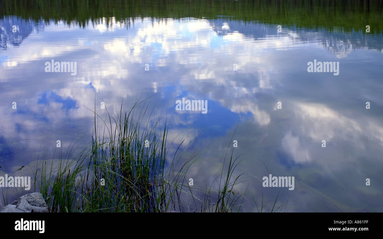 Leach Lake Jasper National Park Alberta Canada Stock Photo - Alamy
