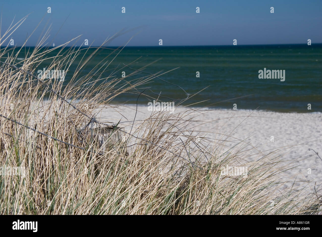 Costline of the Baltic Sea, Germany Stock Photo - Alamy