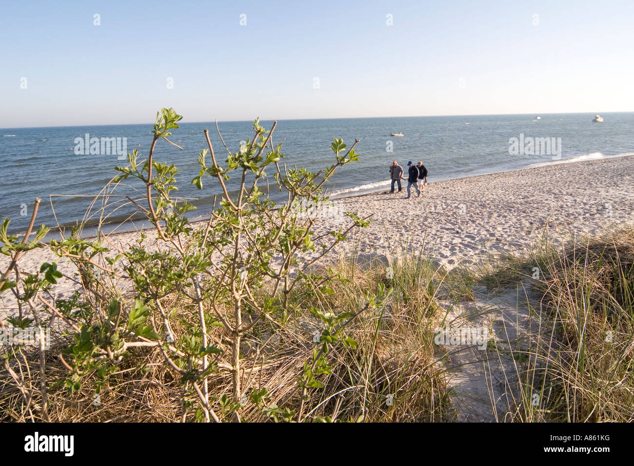 Costline of the Baltic Sea, Germany Stock Photo - Alamy