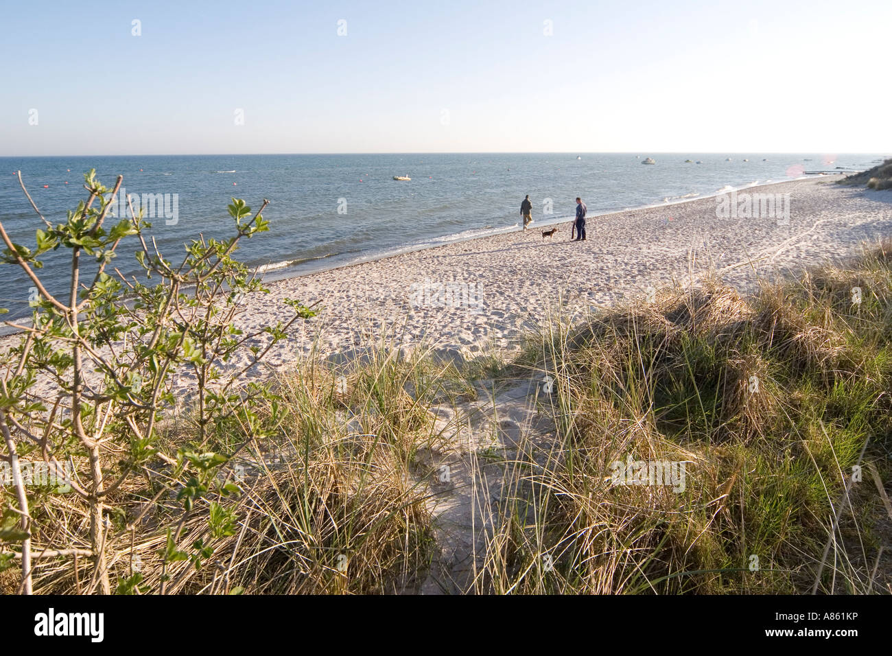 Costline of the Baltic Sea, Germany Stock Photo - Alamy