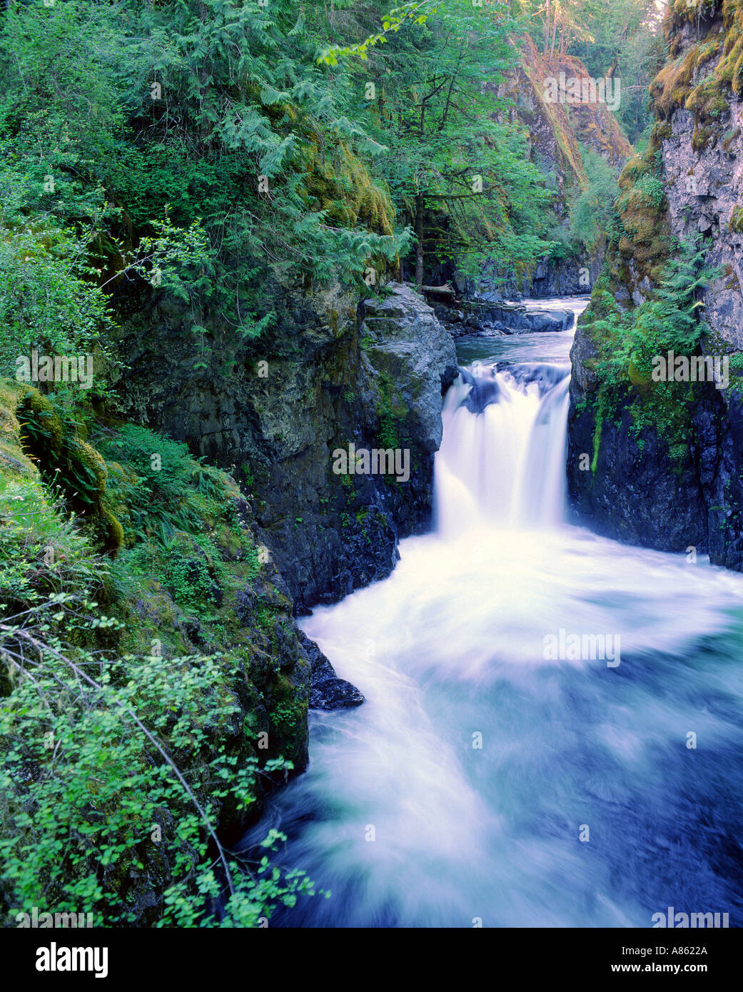 Lower Falls Englishman River Falls Provincial Park Vancouver Island ...