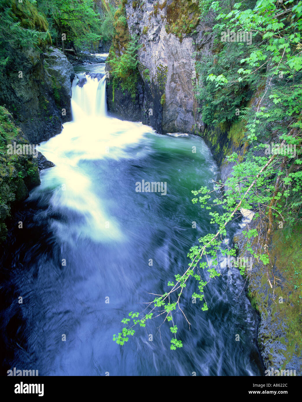 Lower Falls Englishman River Falls Provincial Park Vancouver Island ...