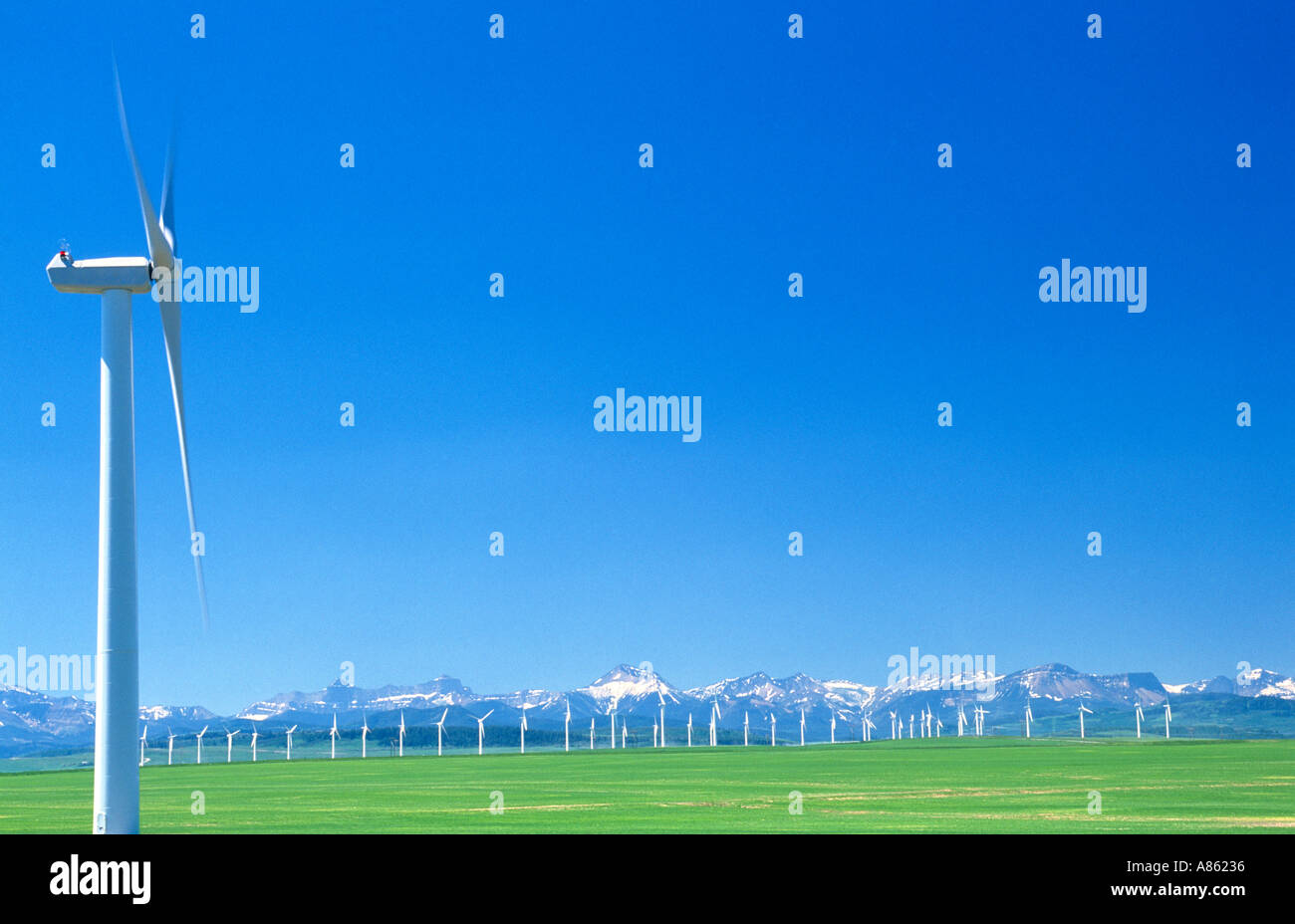 Wind turbines generate clean energy Cowley Alberta Canada Stock Photo ...