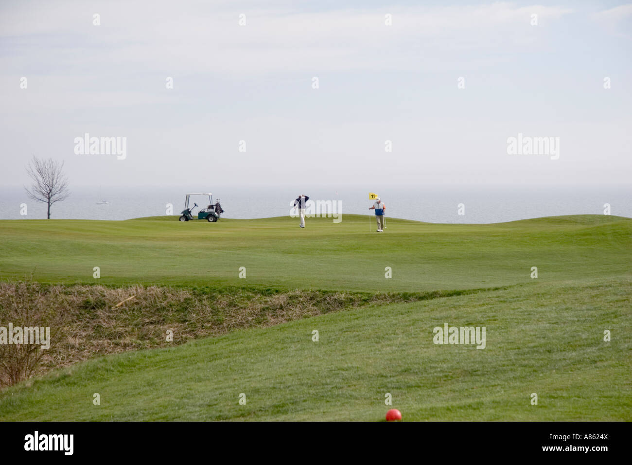 Par 3 on golf course - view from tee off to putting green Stock Photo ...