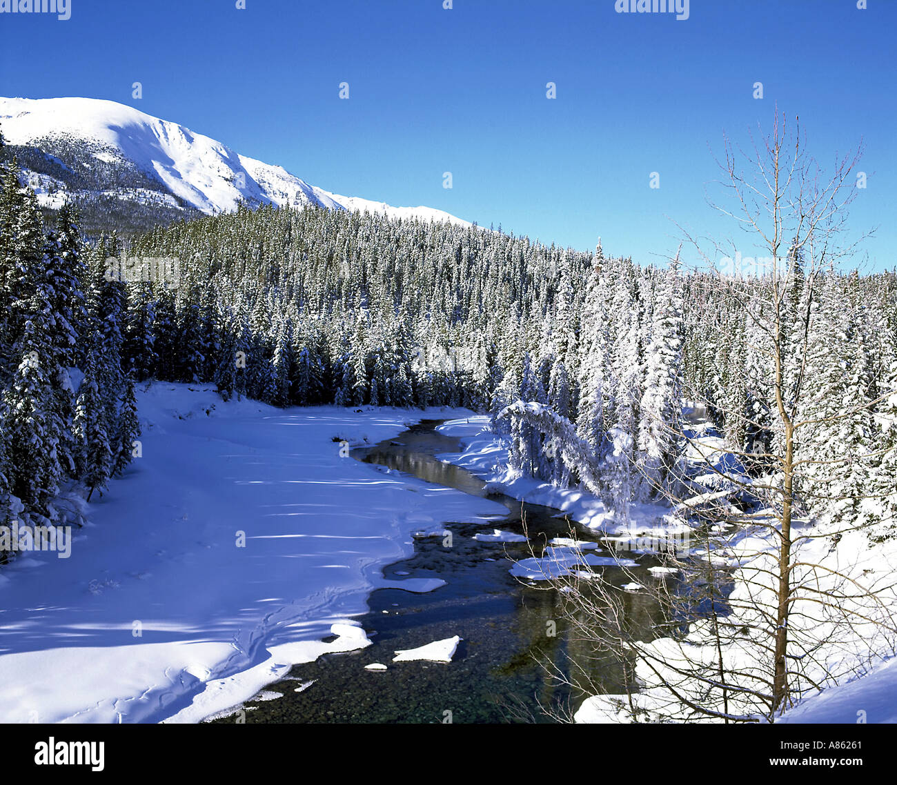 The flowing Maligne River in Winter Jasper National Park Alberta Canada ...