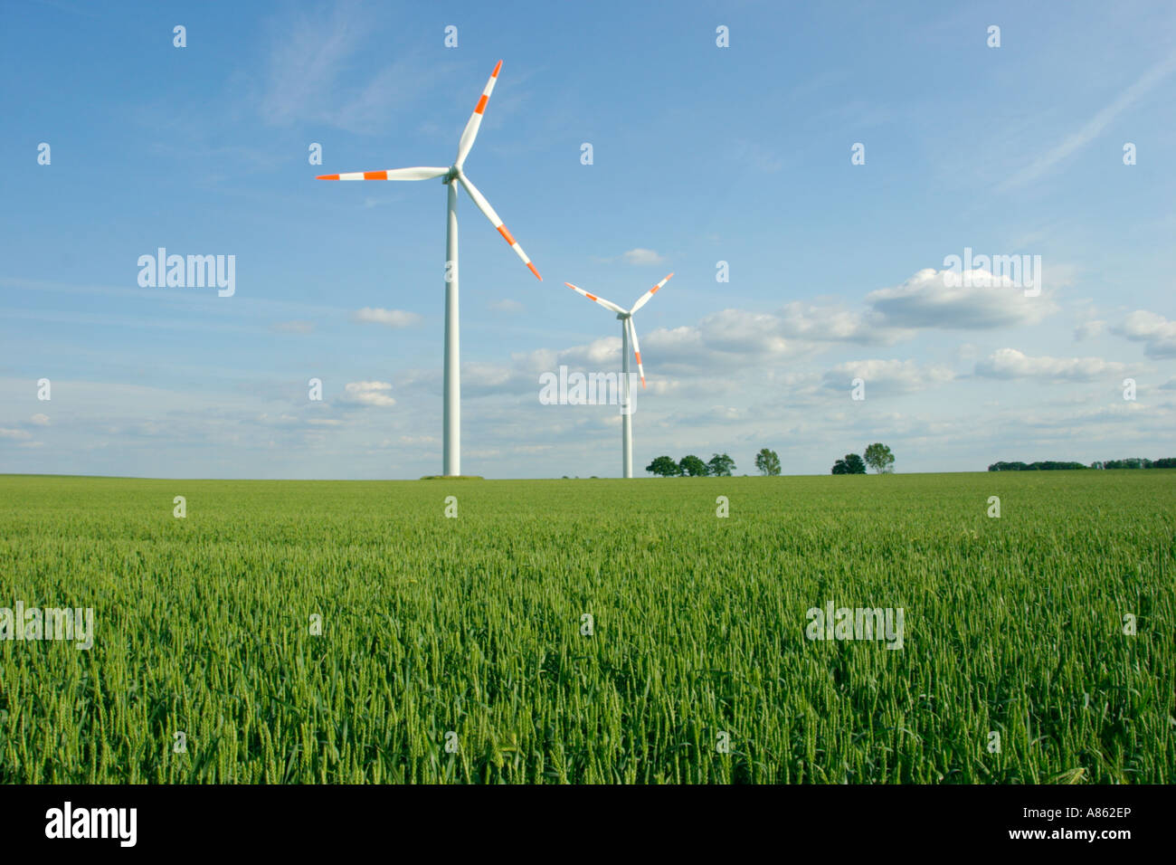 windmills in a cornfield in Northern Germany Stock Photo - Alamy