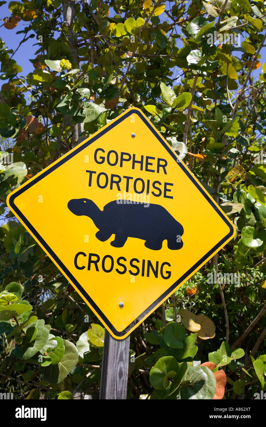 Gopher Tortoise crossing sign Stock Photo - Alamy
