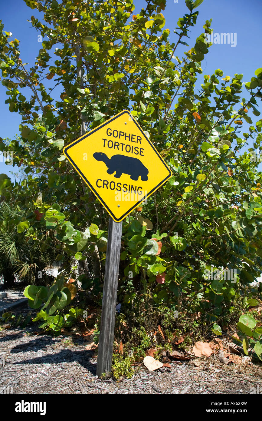 Gopher Tortoise crossing sign Stock Photo - Alamy