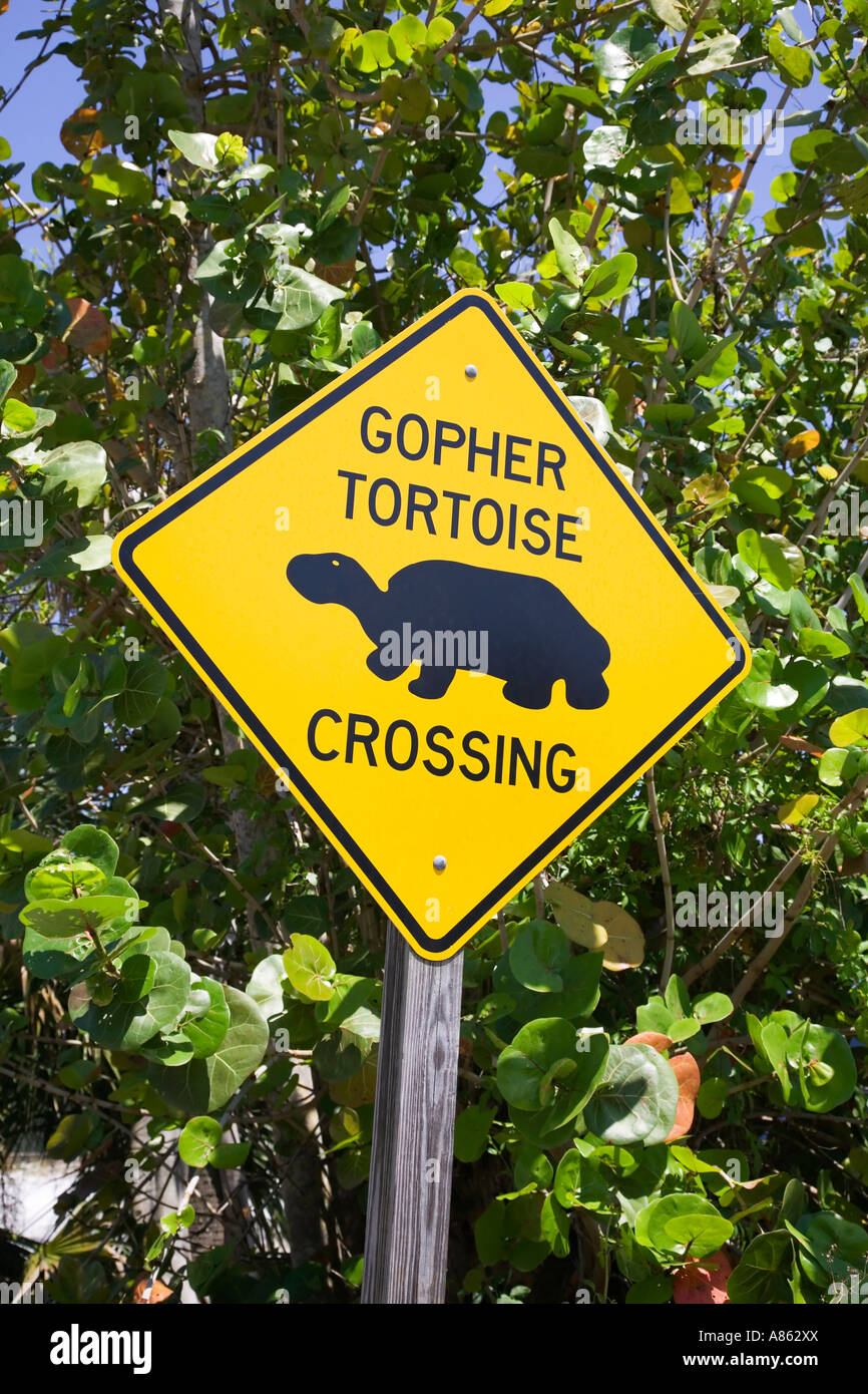 Gopher tortoise crossing sign hi-res stock photography and images - Alamy
