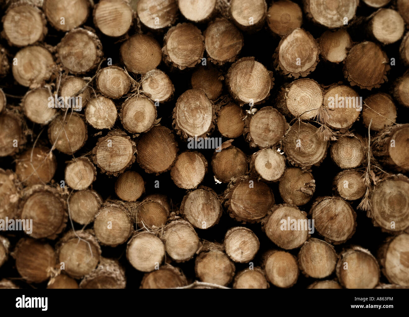 Log request hi-res stock photography and images - Alamy