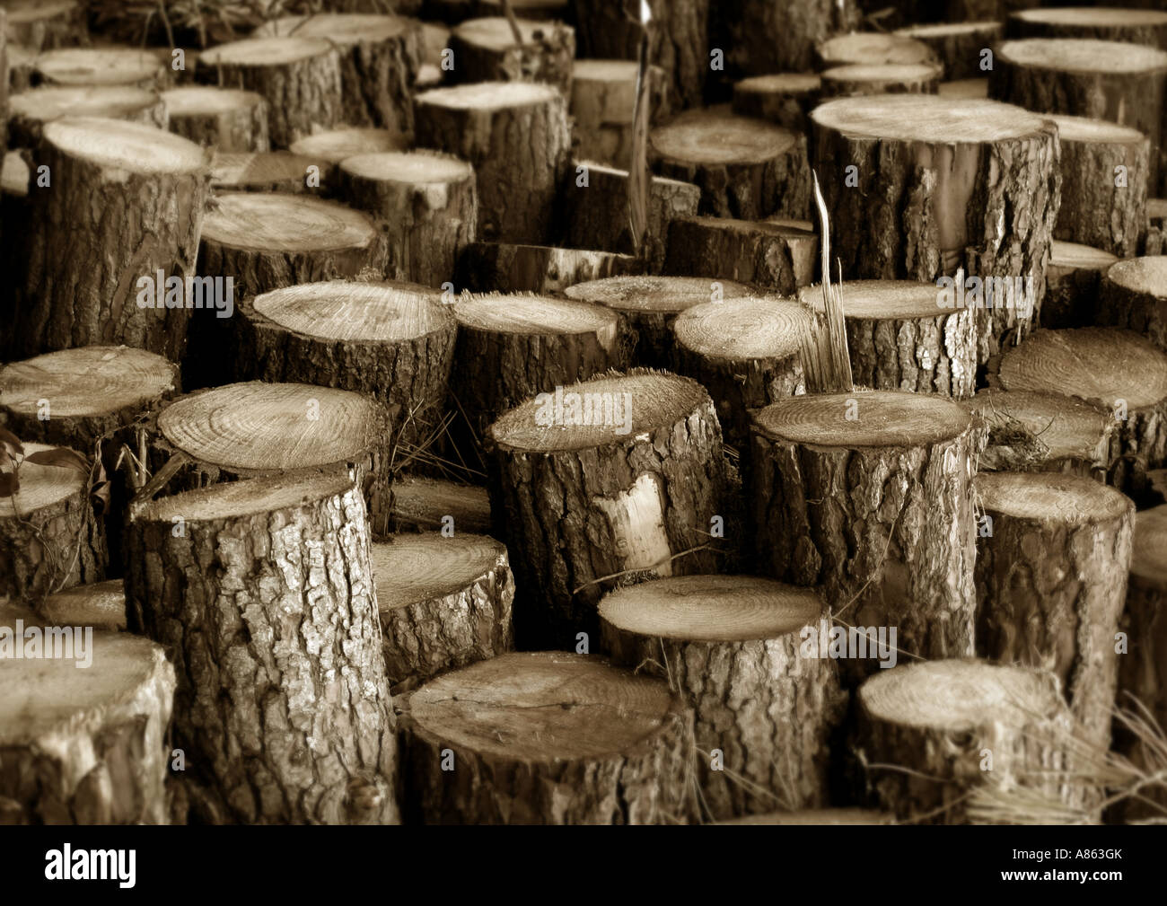 Save fire loss build hi-res stock photography and images - Alamy