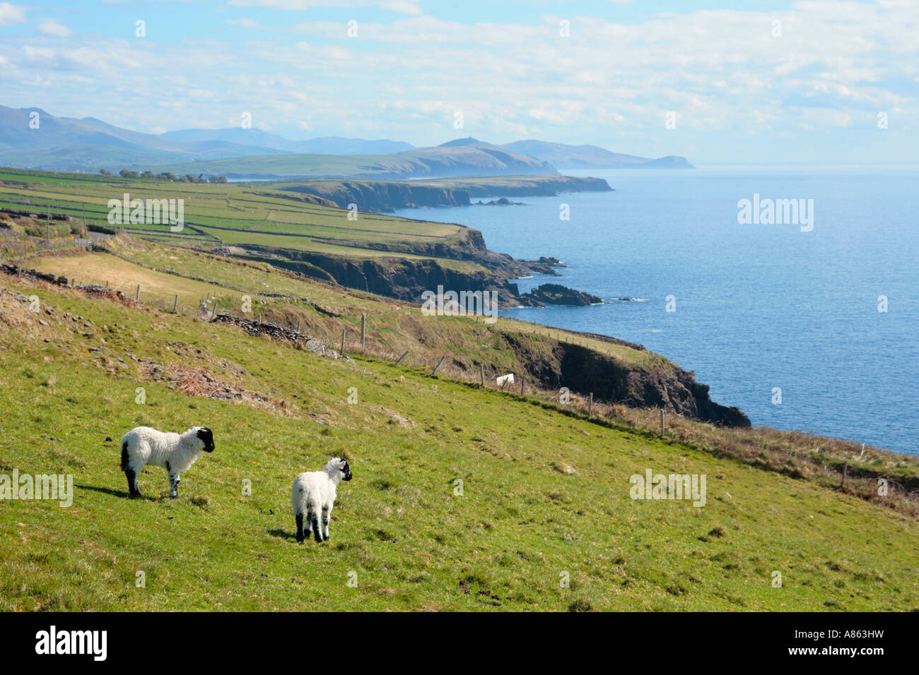 cliff scenery on Dingle Peninsula in the West of Ireland Stock Photo ...
