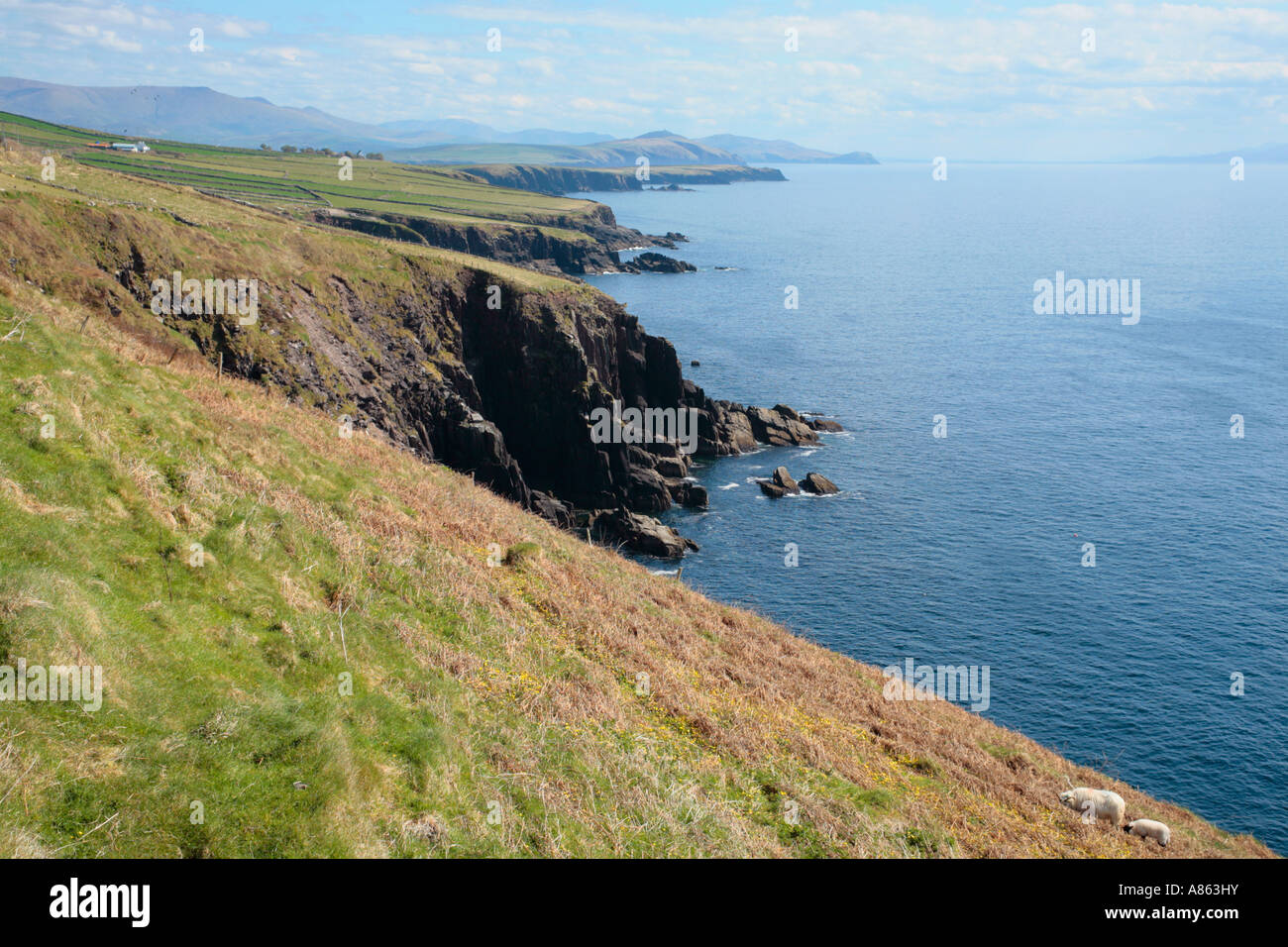 cliff scenery on Dingle Peninsula in the West of Ireland Stock Photo ...
