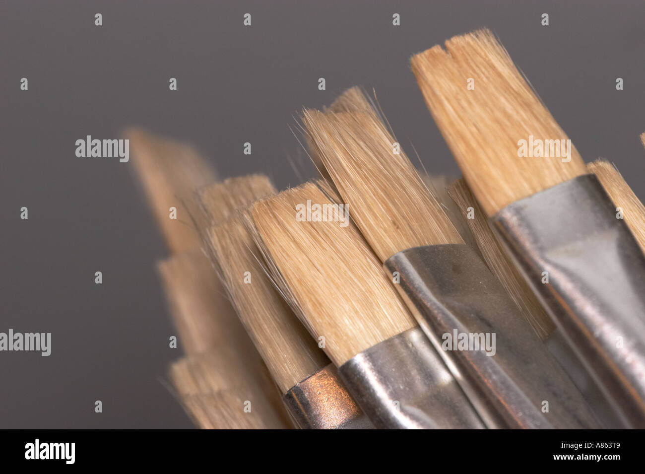 Paint brushes up close Stock Photo - Alamy