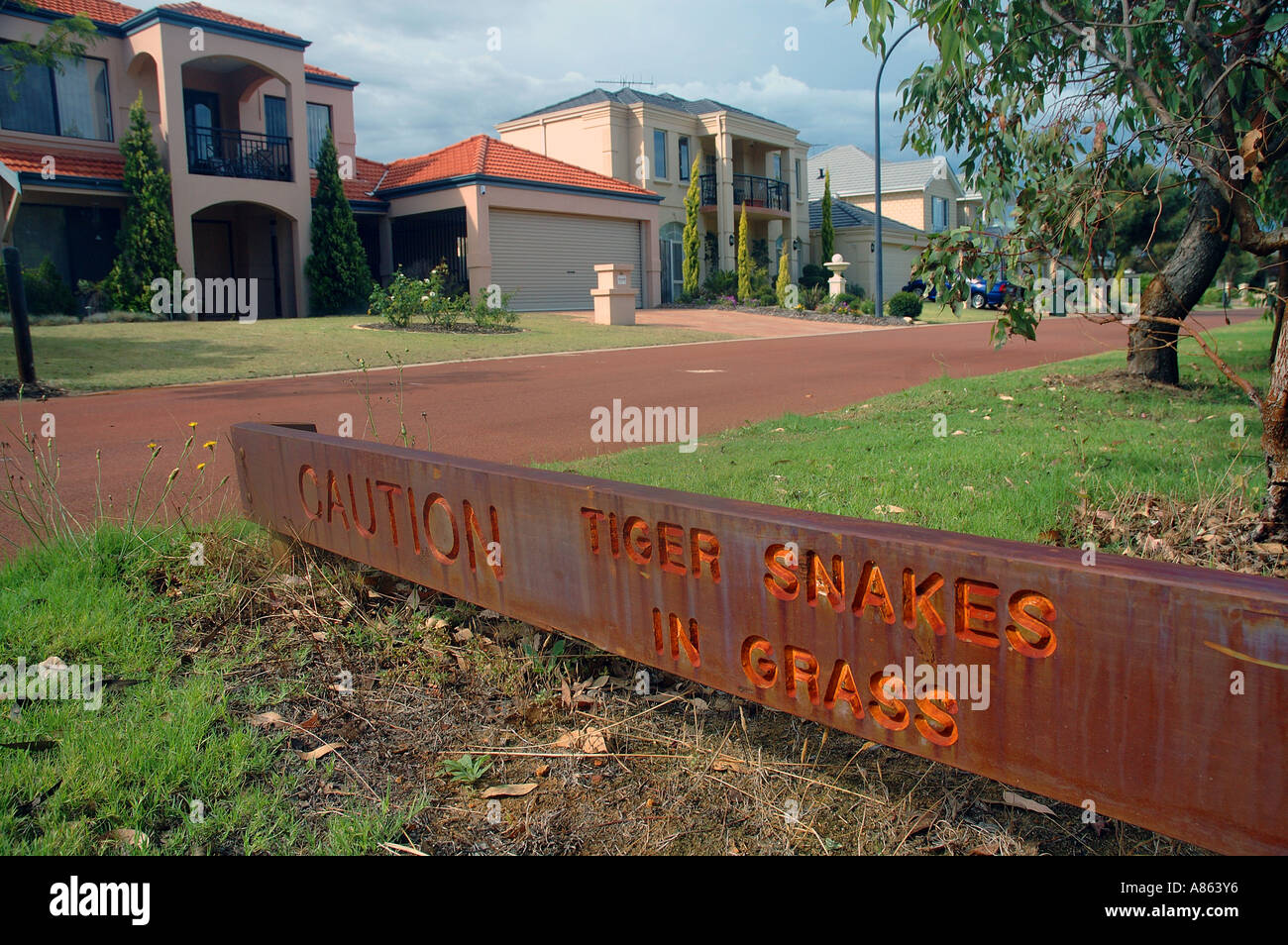 Australian snakes hi-res stock photography and images - Alamy