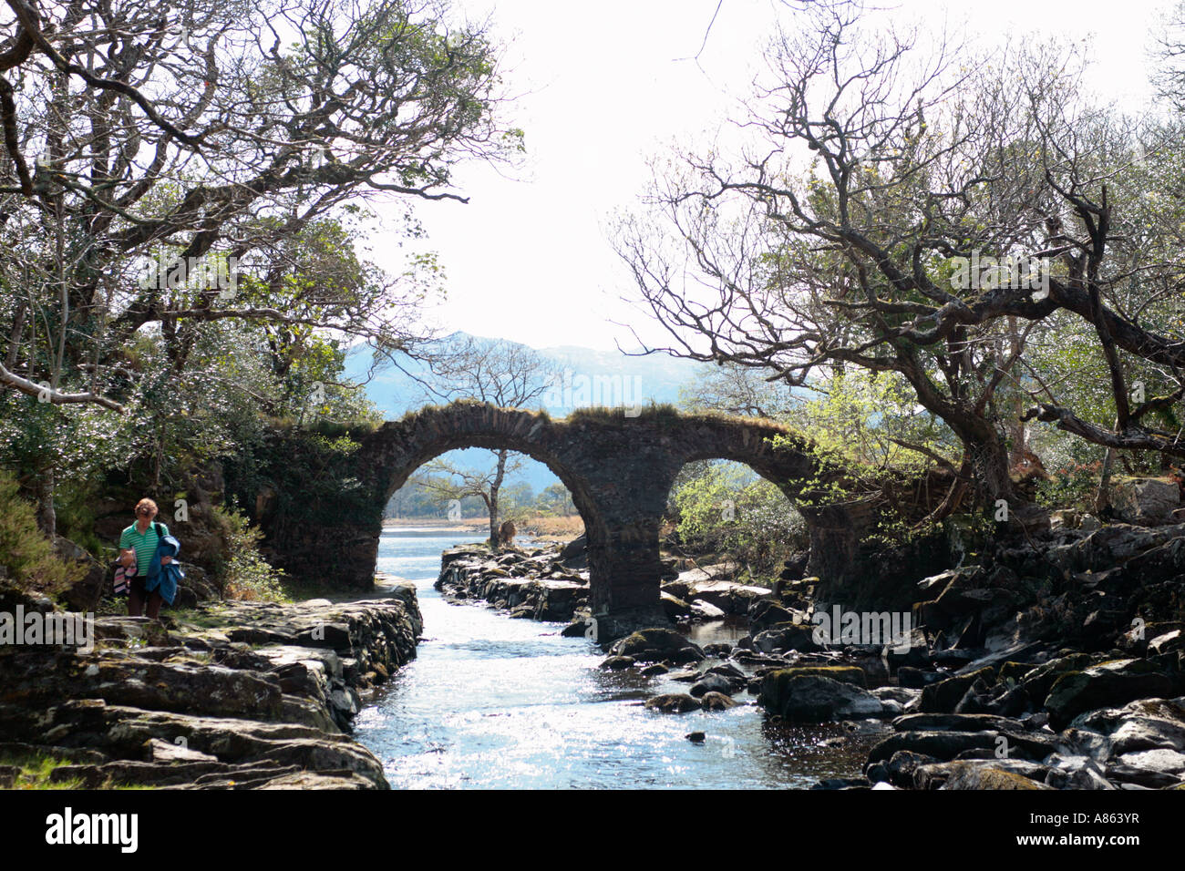 Killarney nationalpark hi-res stock photography and images - Alamy