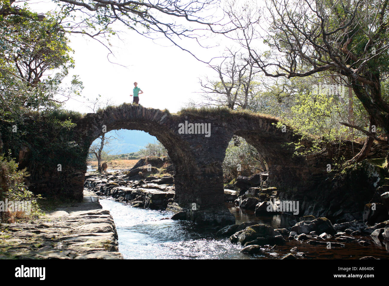 Old Weir Bridge at Killarney Nationalpark in County Kerry in the West ...