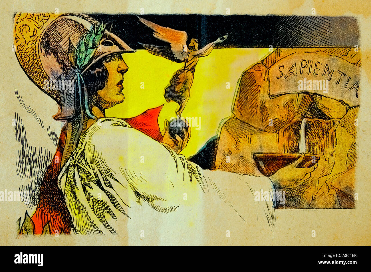 Sapience hi-res stock photography and images - Alamy