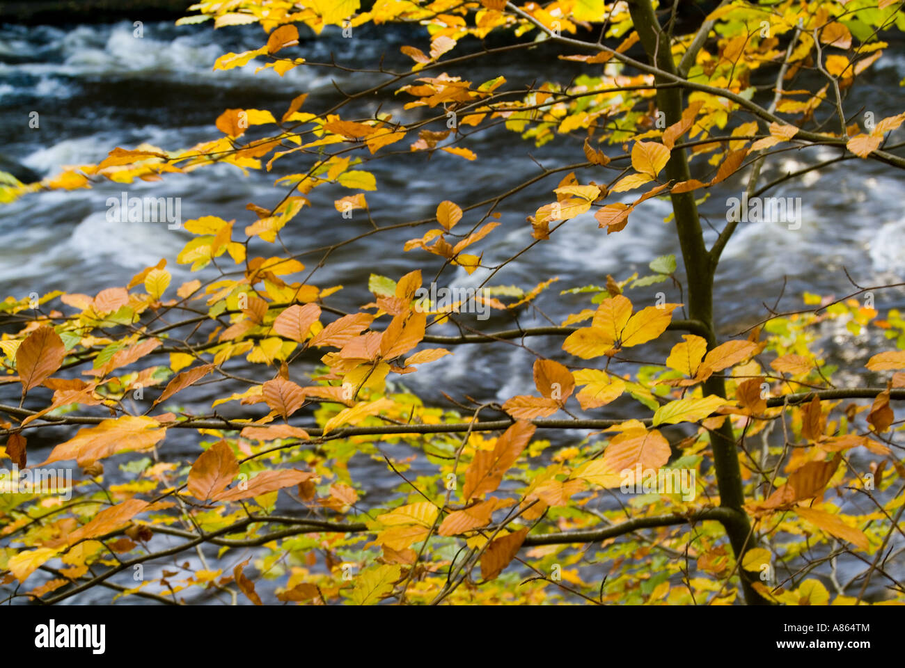 Autumn aesthetic image High Resolution Stock Photography and Images - Alamy