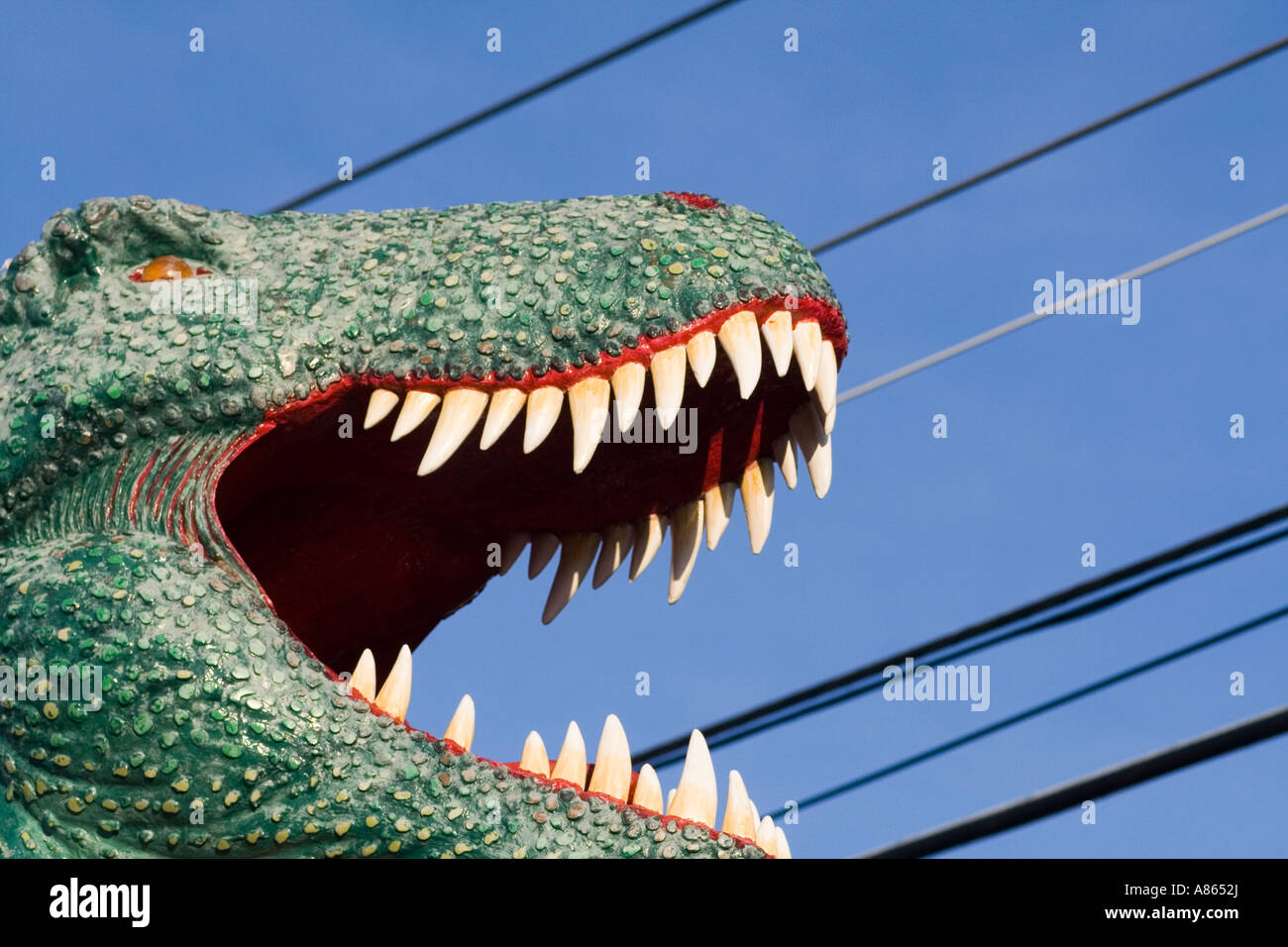A dinosaur expresses his frustration Stock Photo - Alamy
