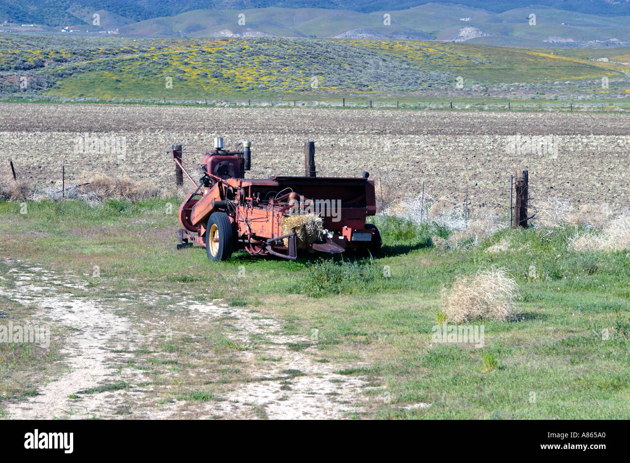Old Farm Tractor in a Field Stock Photo - Alamy