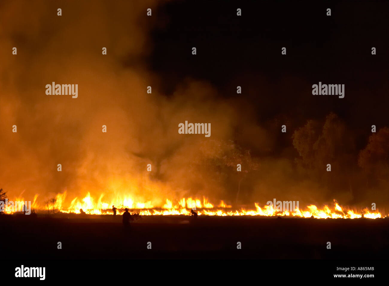 Bush fire fighting in the Okavango Delta Stock Photo - Alamy