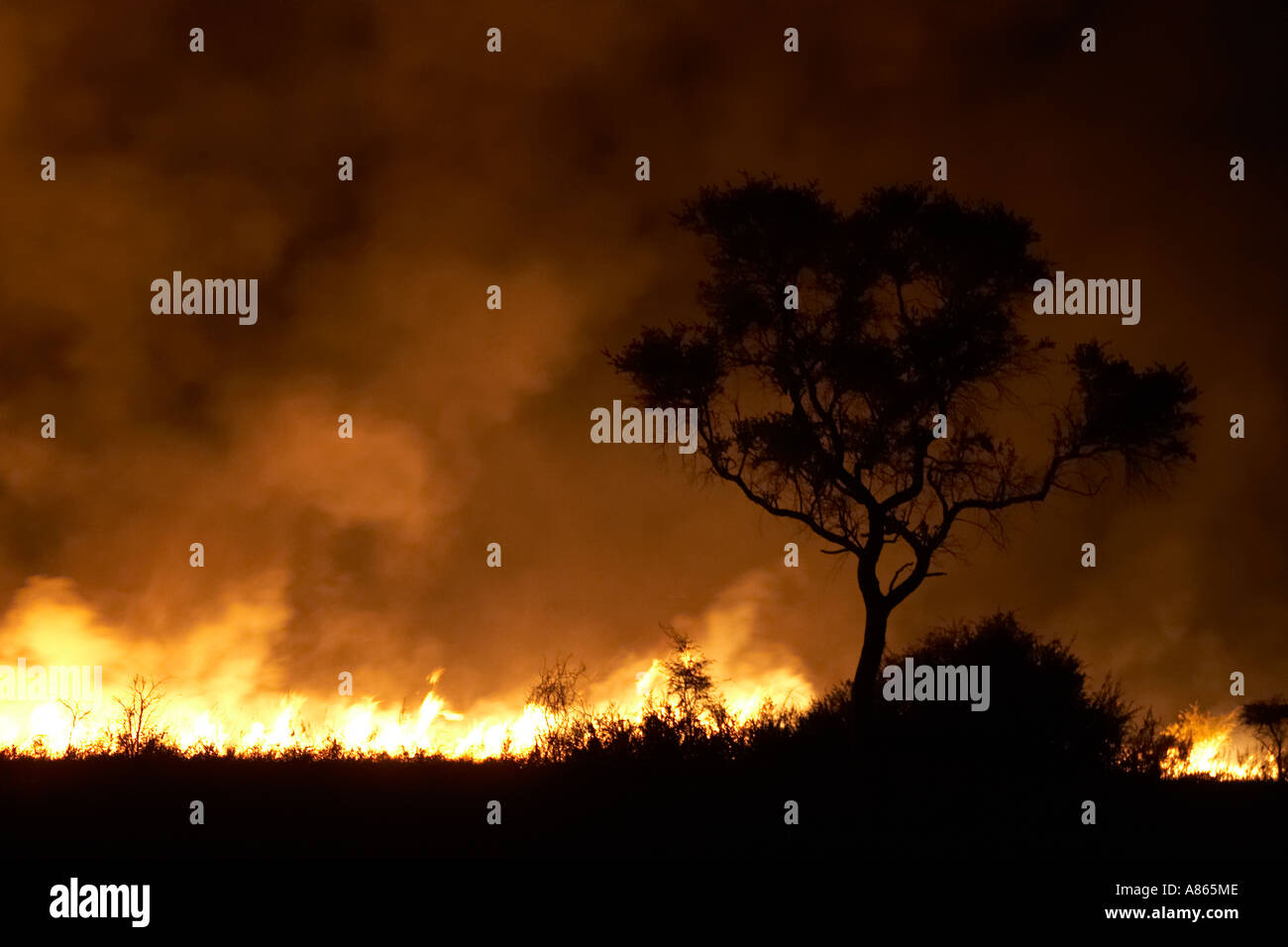 Bush Fire High Resolution Stock Photography and Images - Alamy