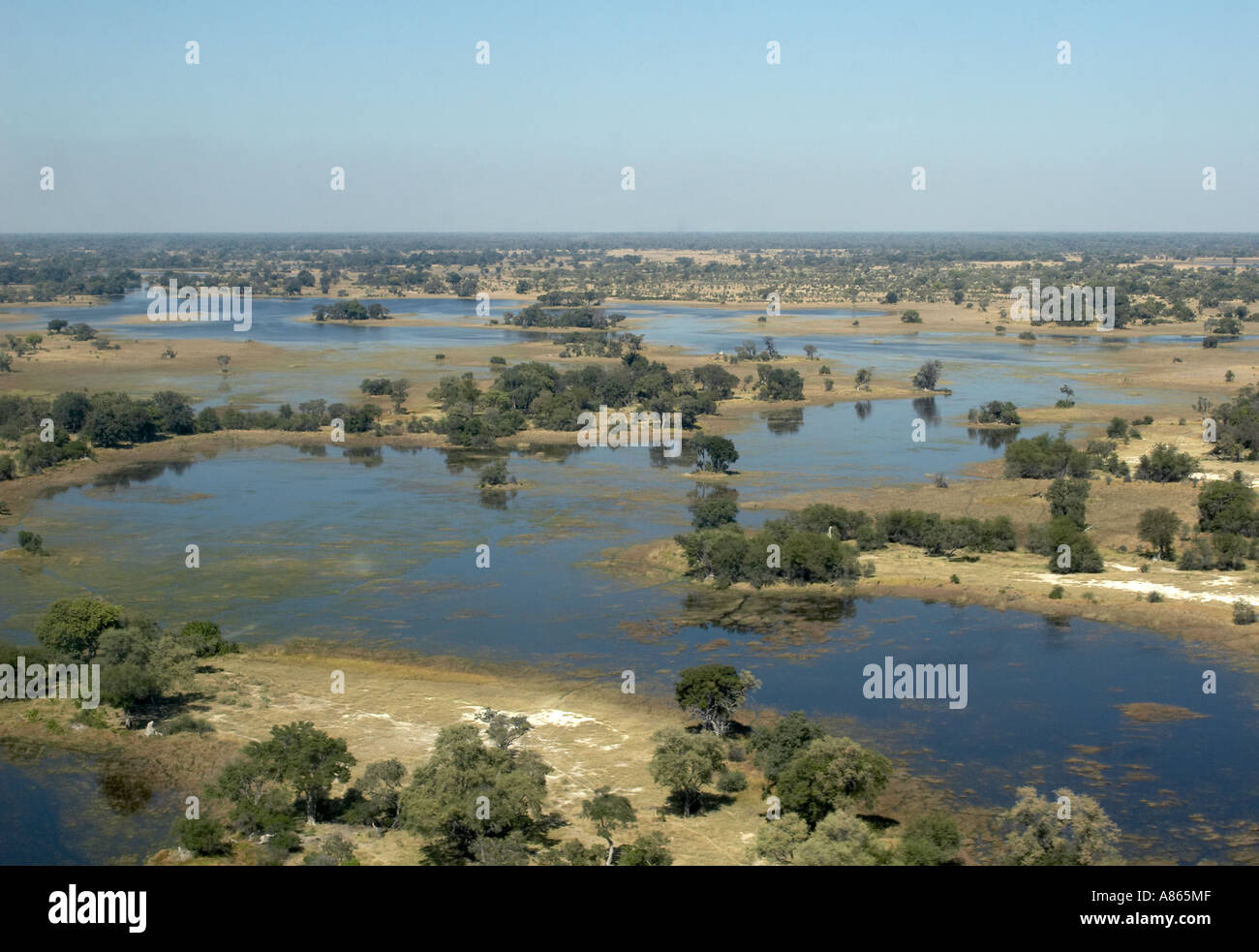 Okavango Delta in flood from air Stock Photo - Alamy