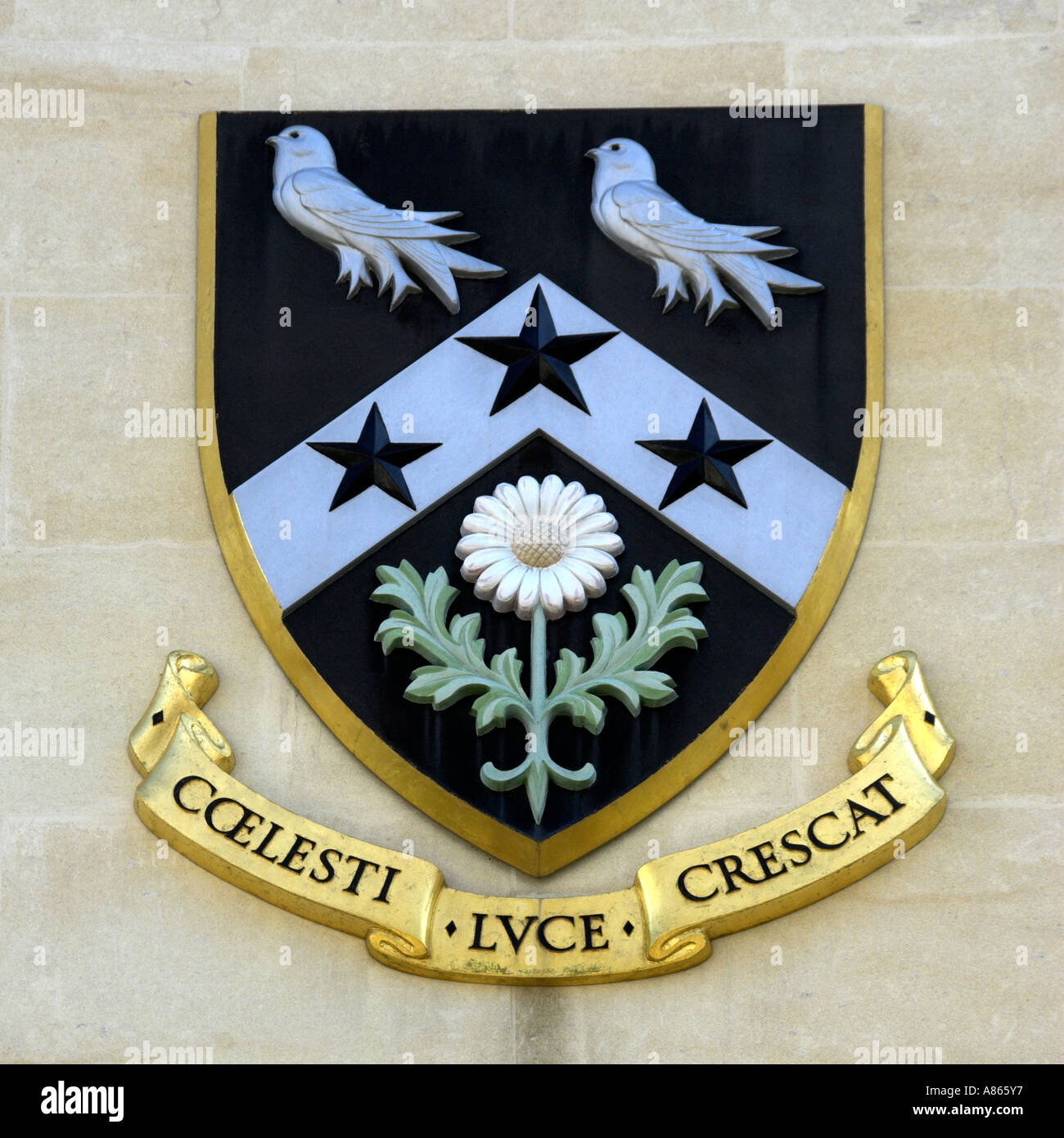 Cheltenham ladies college hi-res stock photography and images - Alamy
