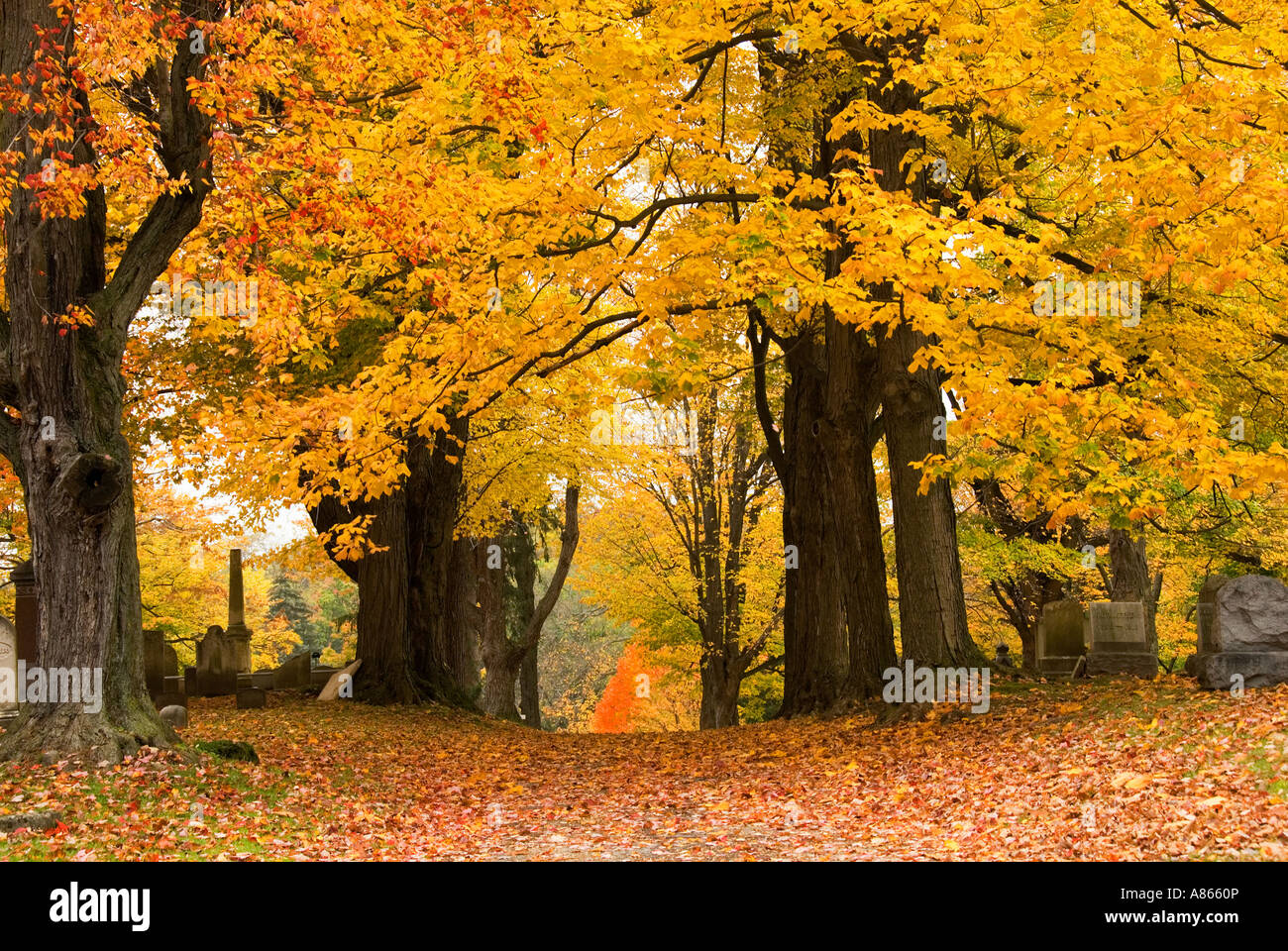 Autumn scene in cemetery Stock Photo - Alamy