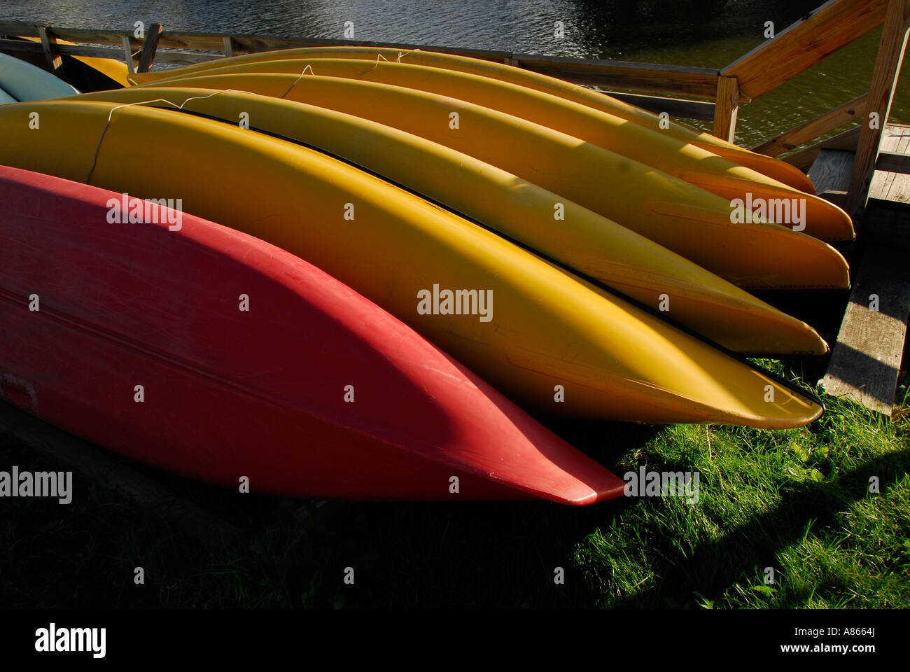 Canoes for rent Stock Photo - Alamy
