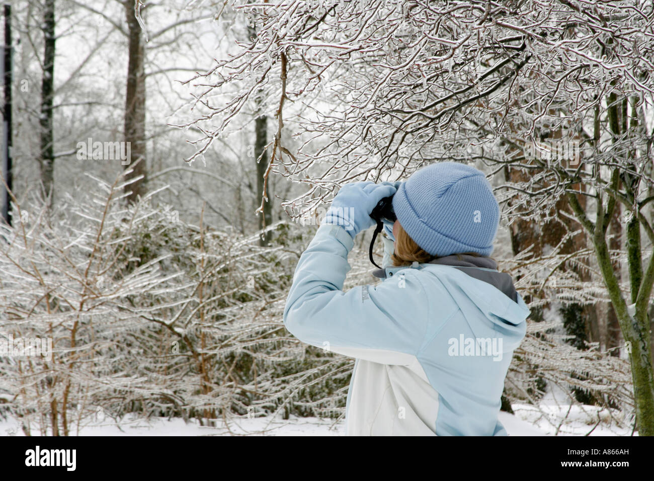 Female woman lady birder birdwatcher hi-res stock photography and ...