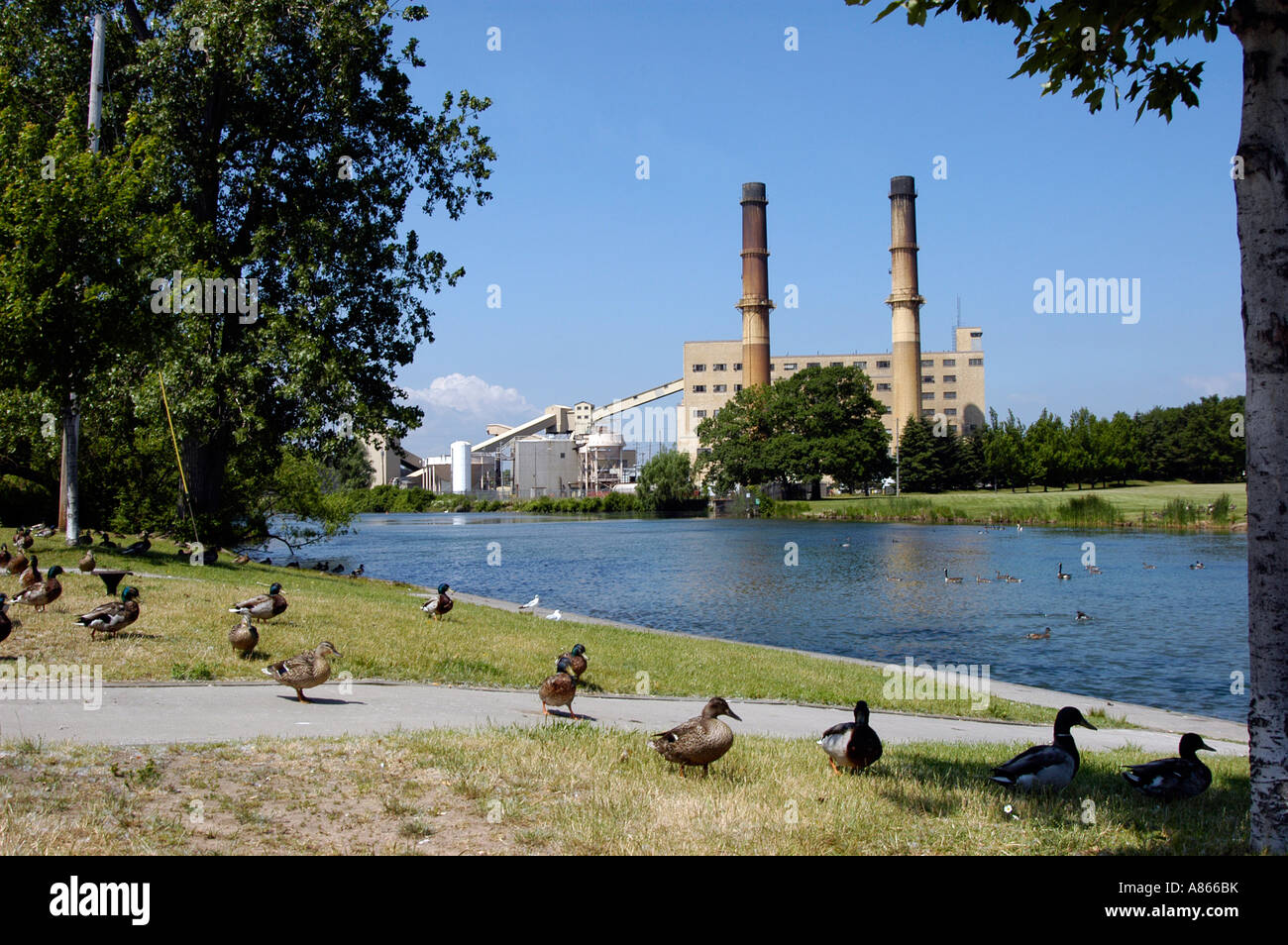 Coal fired power plant with wild ducks Stock Photo - Alamy