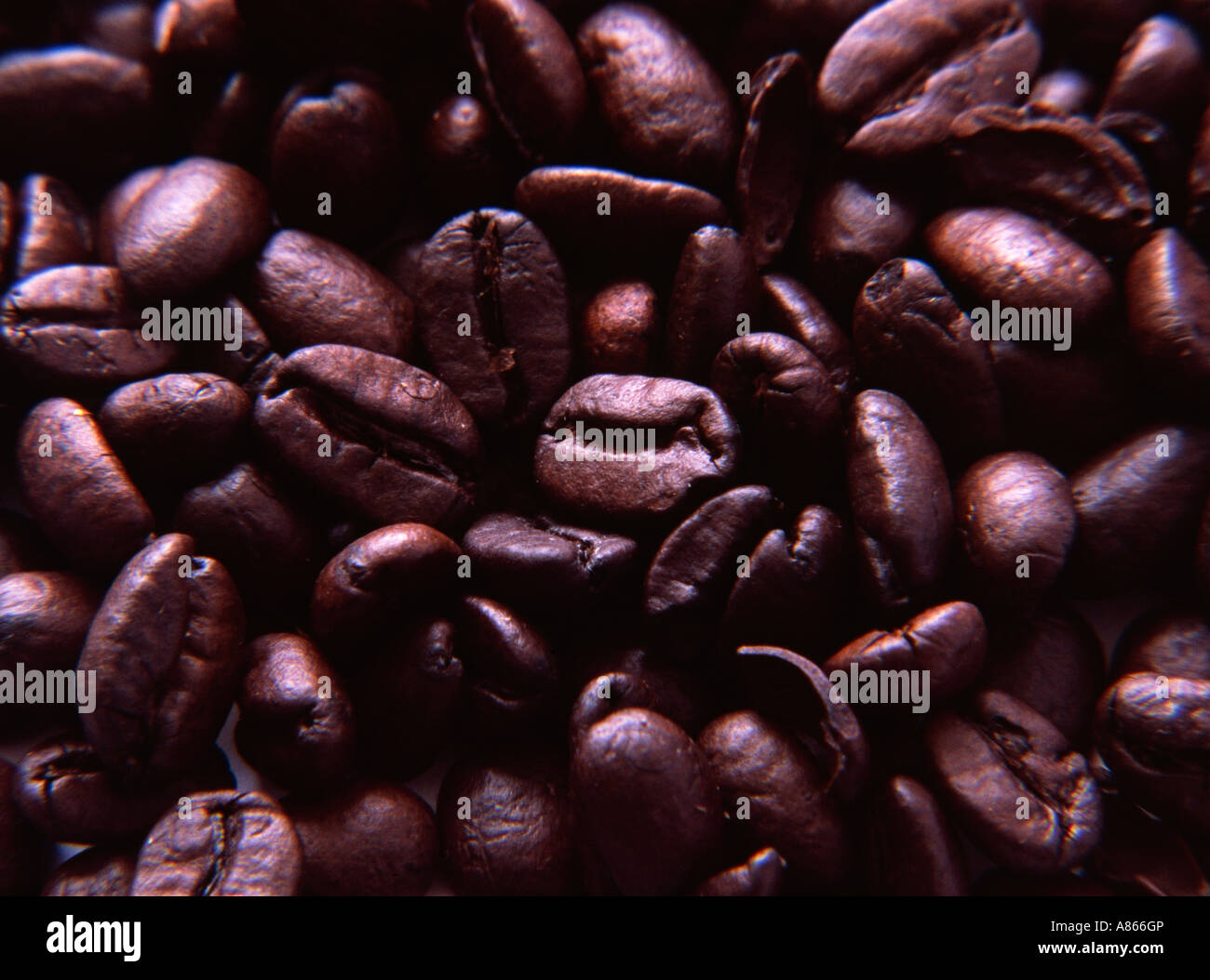 Close Up of Coffee Beans Stock Photo - Alamy