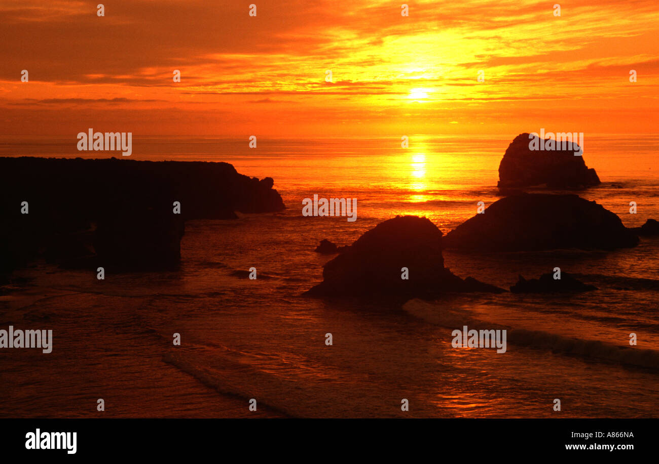 Jade sand dollar beach hi-res stock photography and images - Alamy