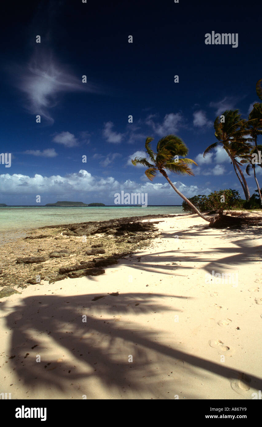 Wind swept deserted island Vava'u Kingdom of Tonga Stock Photo - Alamy