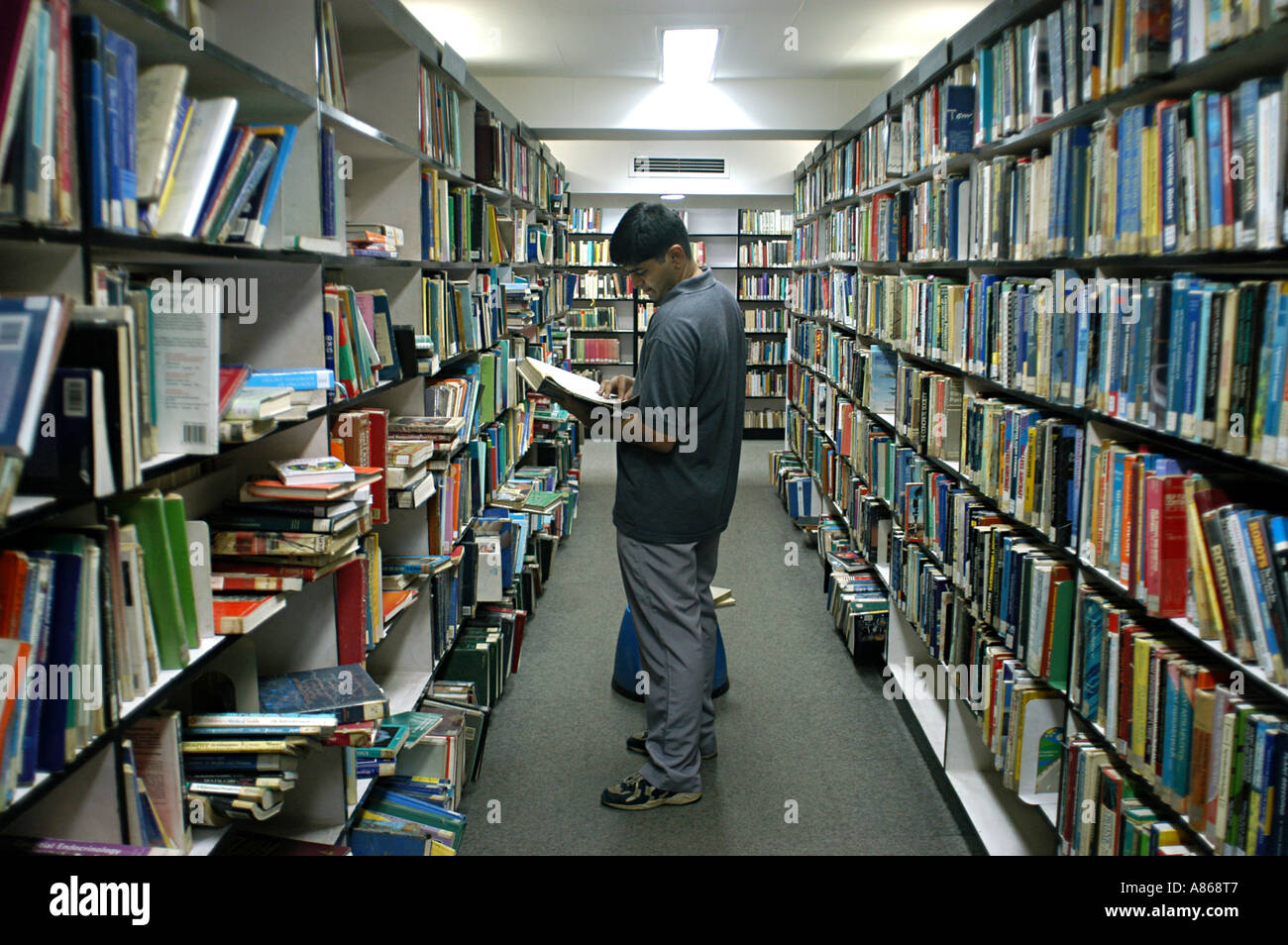 MPD77516 A student going through a book at the British Council library ...