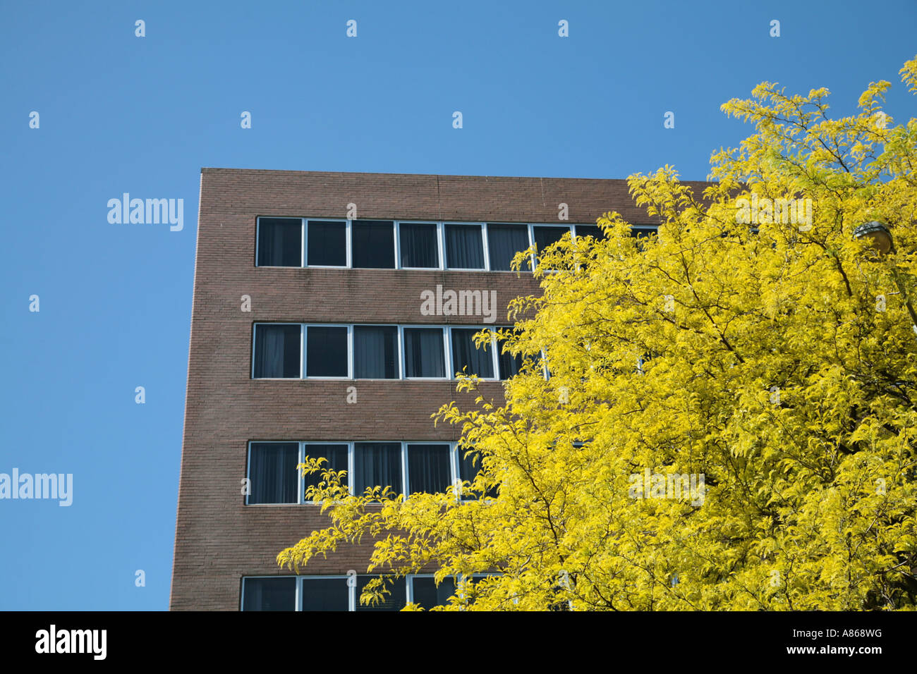office building in spring Stock Photo - Alamy