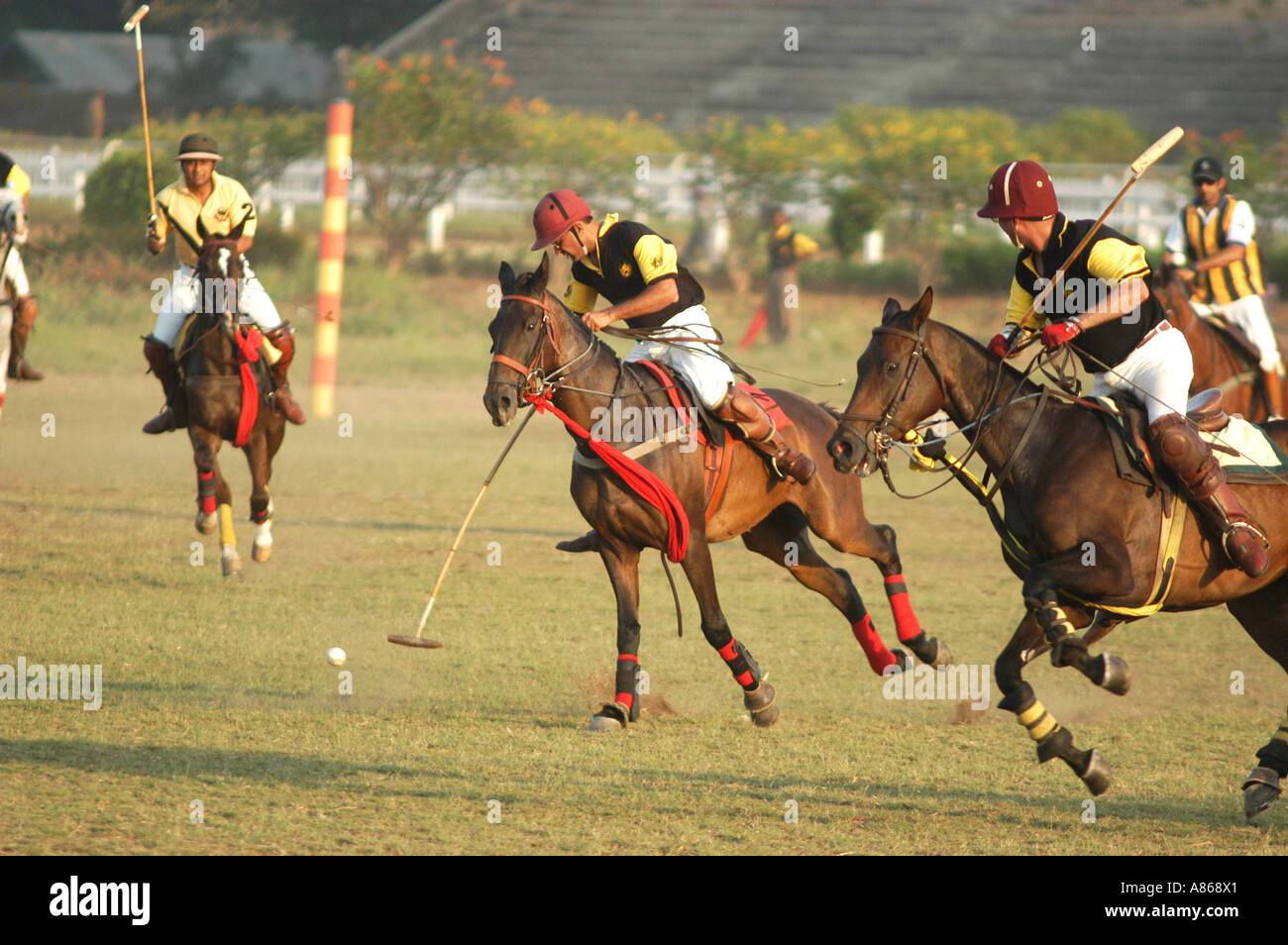 Grounds men racecourse hi-res stock photography and images - Alamy