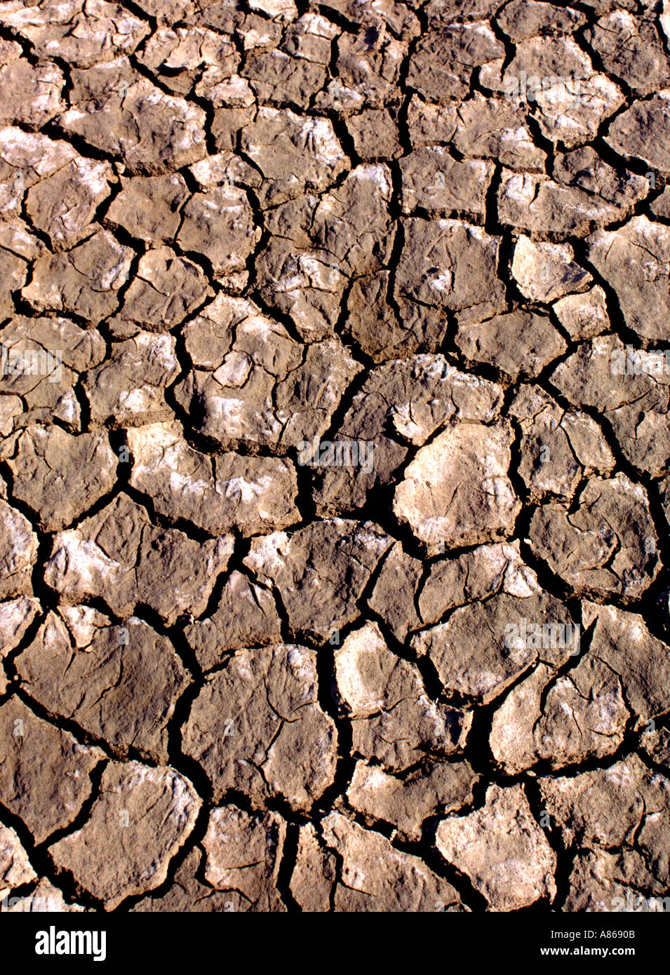 close up detail of dried earth Stock Photo - Alamy